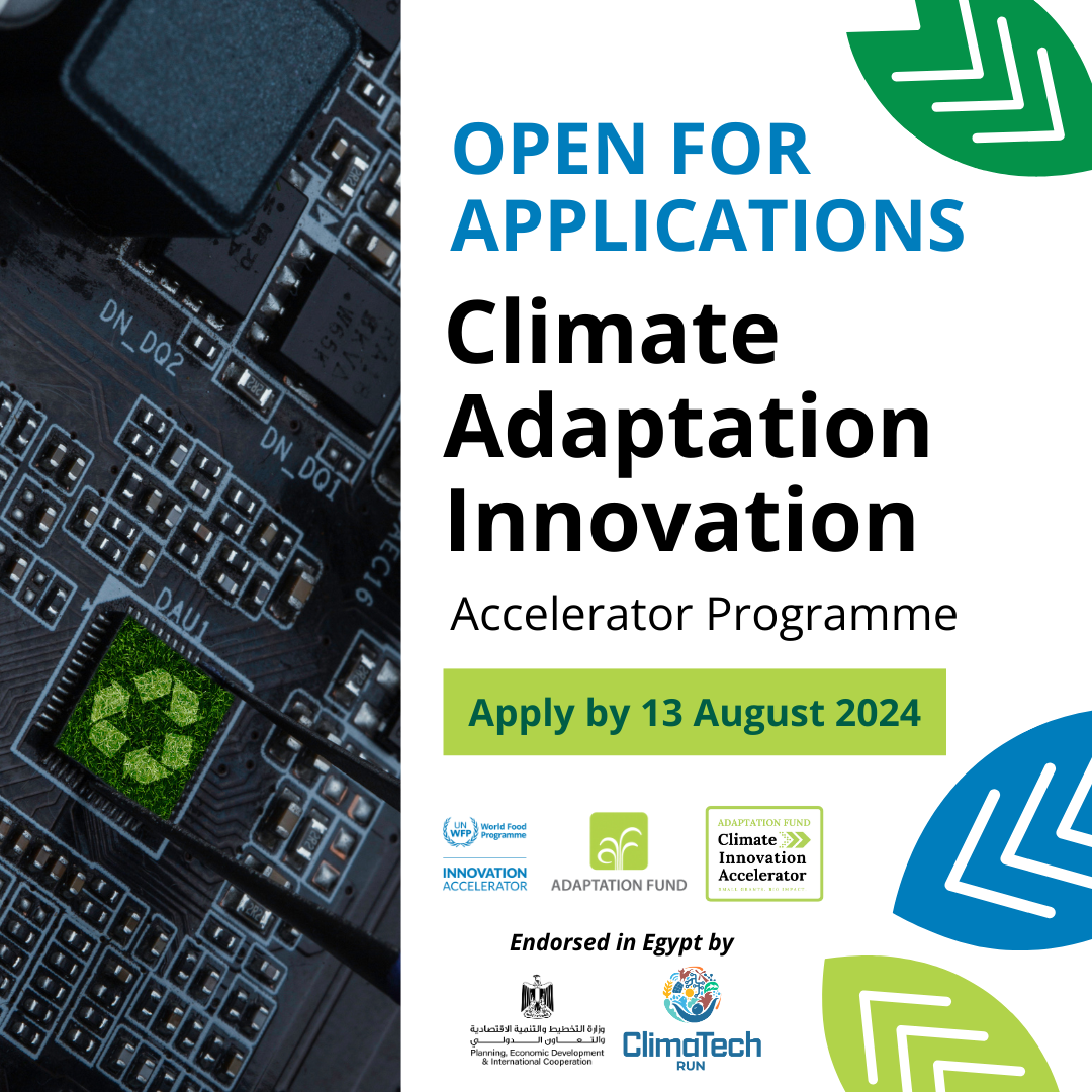 Egypt, WFP Launch Innovation Program for Food Security | Mirage News